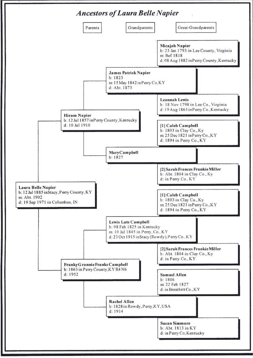Laurabell Napier Tree